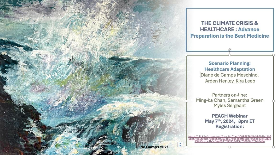 The Climate Crisis & Healthcare Adaptation - CANE-ACIIE