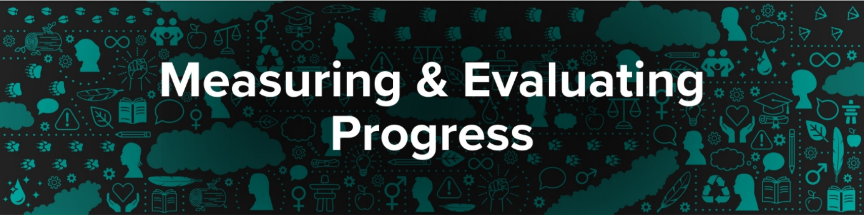 Measuring & Evaluating Progress Webinar - CANE-ACIIE