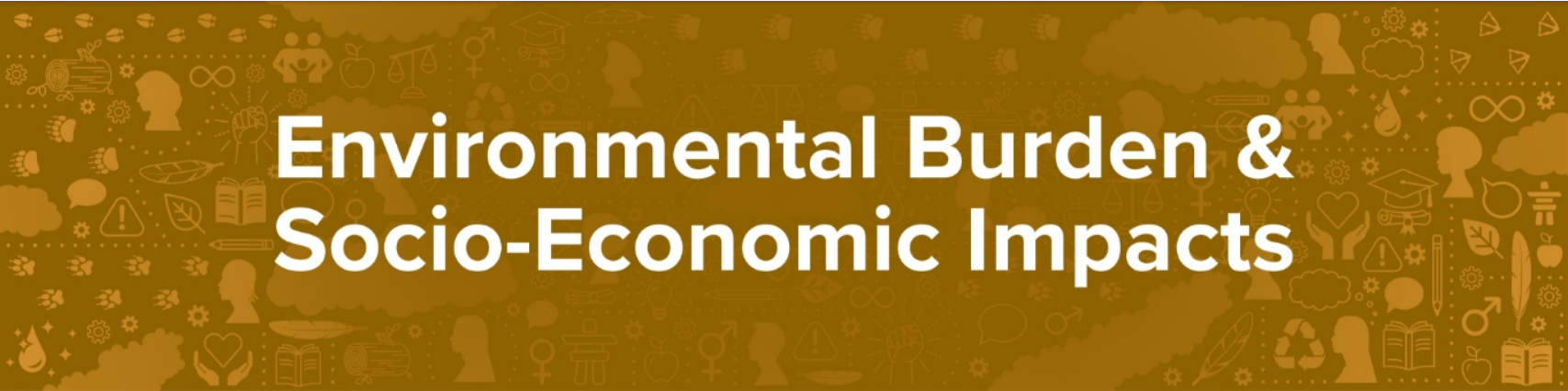 Environmental burden and socio-economic impacts - CANE-ACIIE