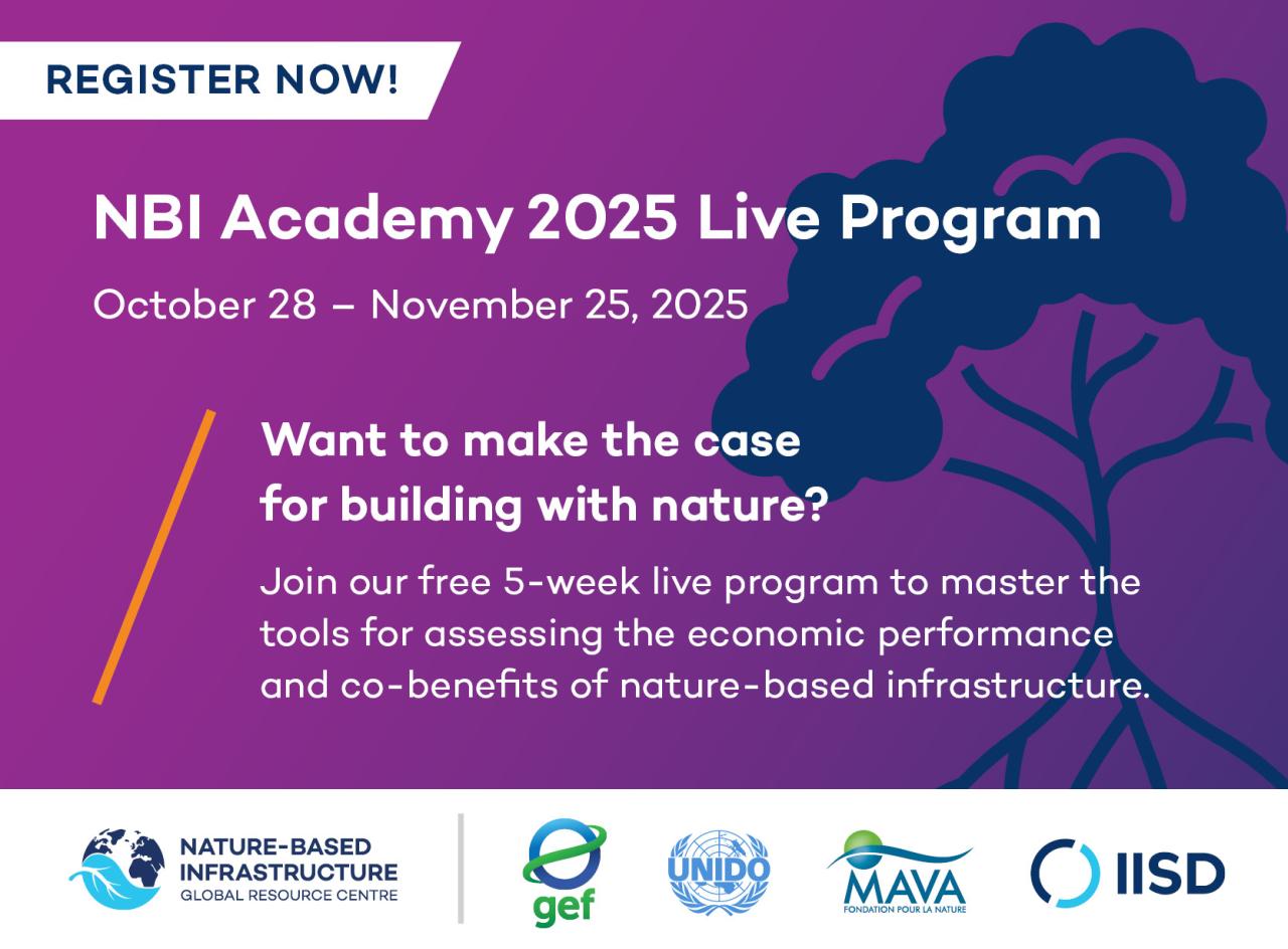 Nature-Based Infrastructure 5-Week Live Program 2025 Week 4 - CANE-ACIIE